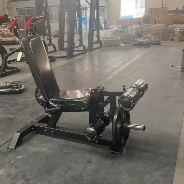 Heavy-Duty Plate-Loaded Leg Curl & Leg Extension Machine - Happy ...